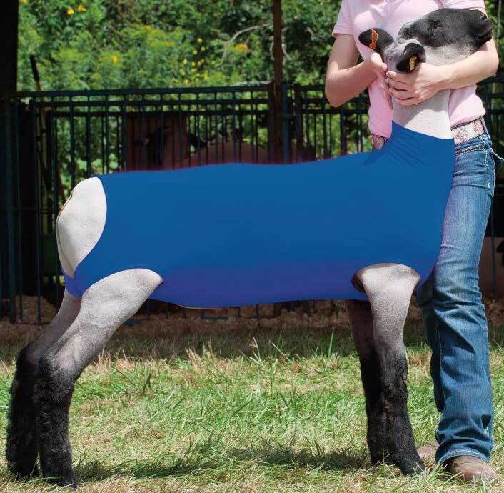 Weaver Livestock - Spandex Lamb Tube | Johnston Elevator