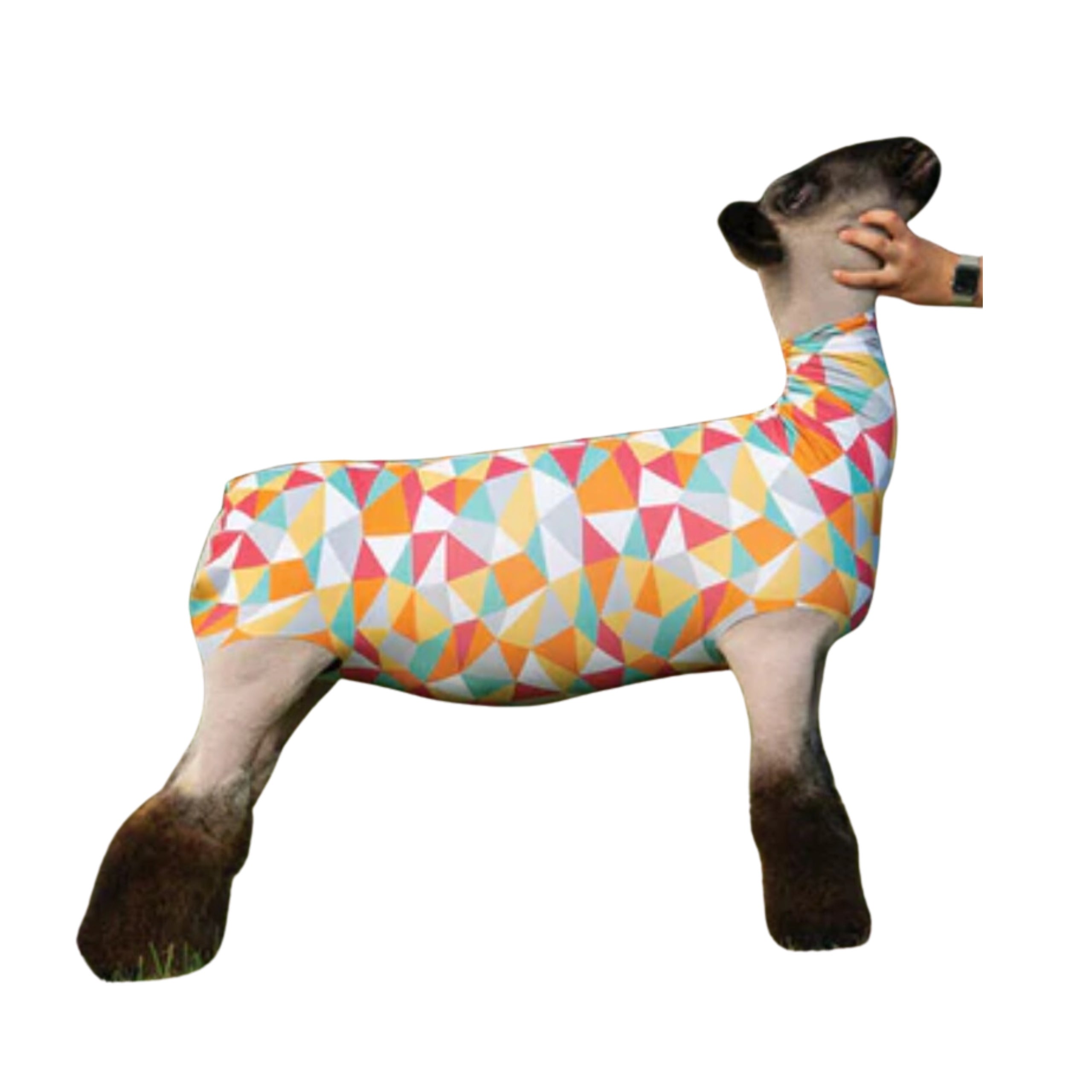 Weaver Livestock - Spandex Lamb Tube | Johnston Elevator